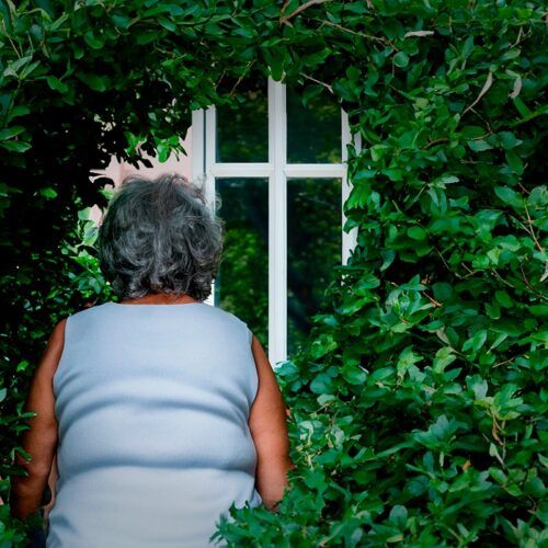 Say hello to Lanternhouse | Cumbernauld Theatre