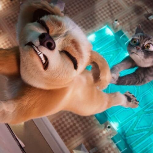 Say hello to Lanternhouse | Cumbernauld Theatre